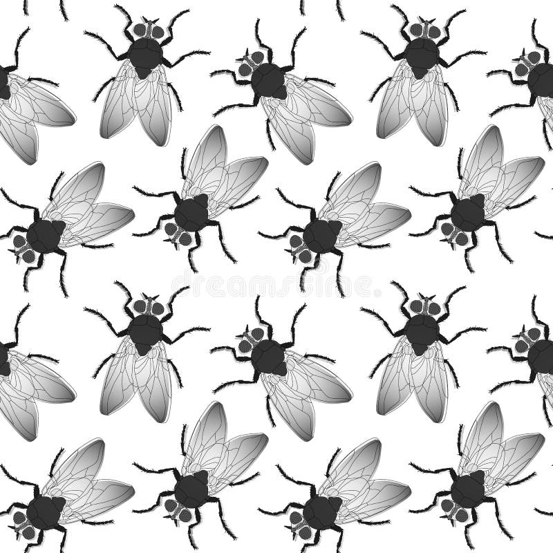 Fly seamless texture stock vector. Illustration of close - 24631833