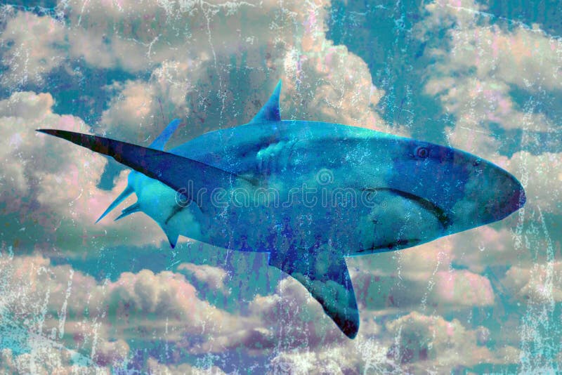 Pop Artcolor Stock Photos - Free & Royalty-Free Stock Photos from ...