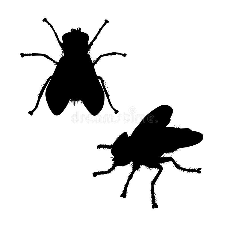 Fly Silhouette. Black White Icon. Vector Illustration. Stock Vector ...