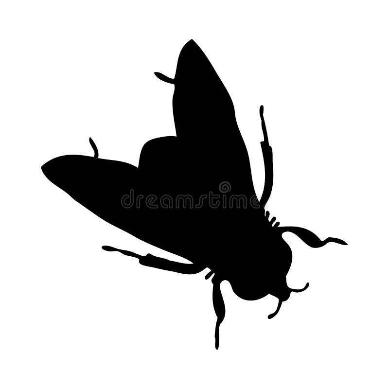 Fly Silhouette stock vector. Illustration of natural - 264351959