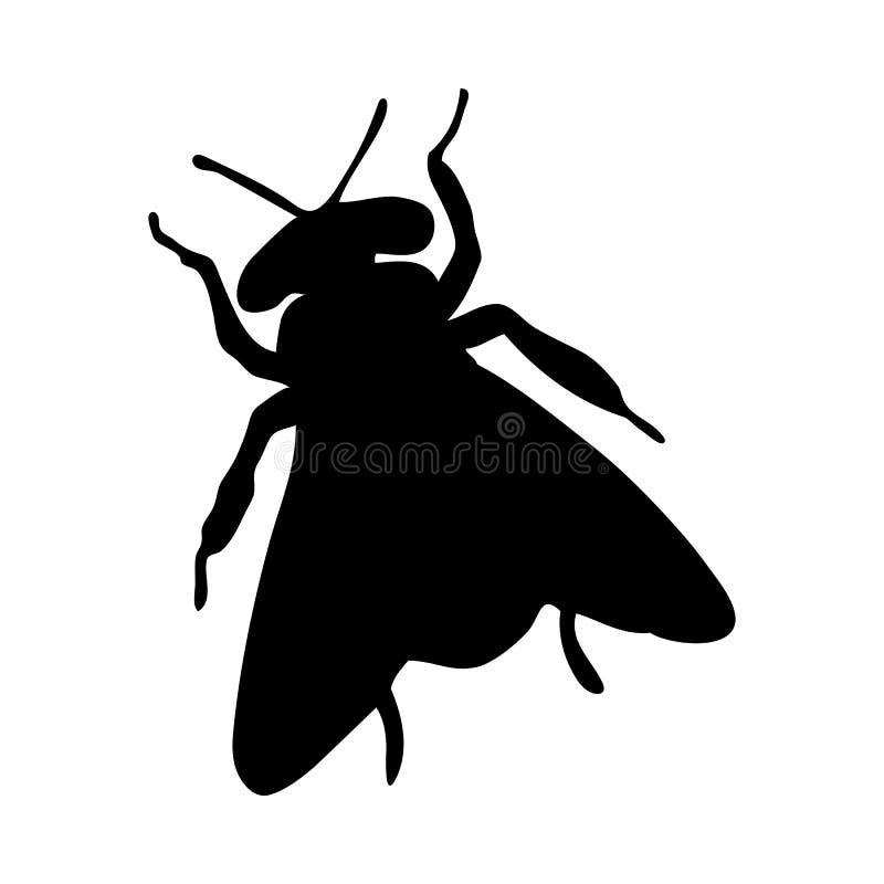Fly Silhouette stock vector. Illustration of fruit, nature - 264352006