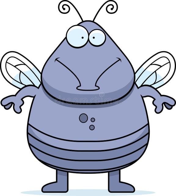 Fly Smiling stock vector. Illustration of animal, insect - 13711433