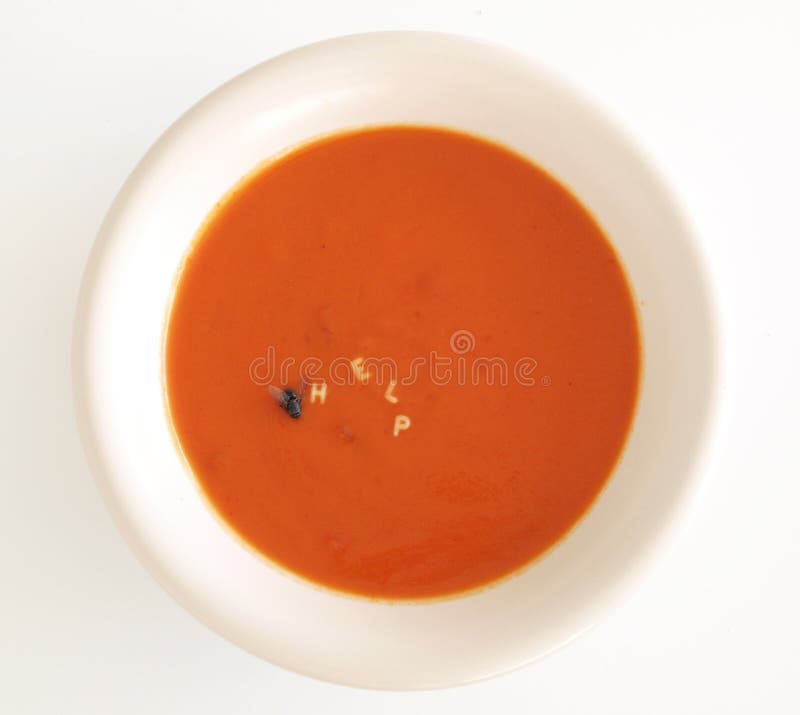 Fly in soup stock photo. Image of drown, white, hygiene - 22035056