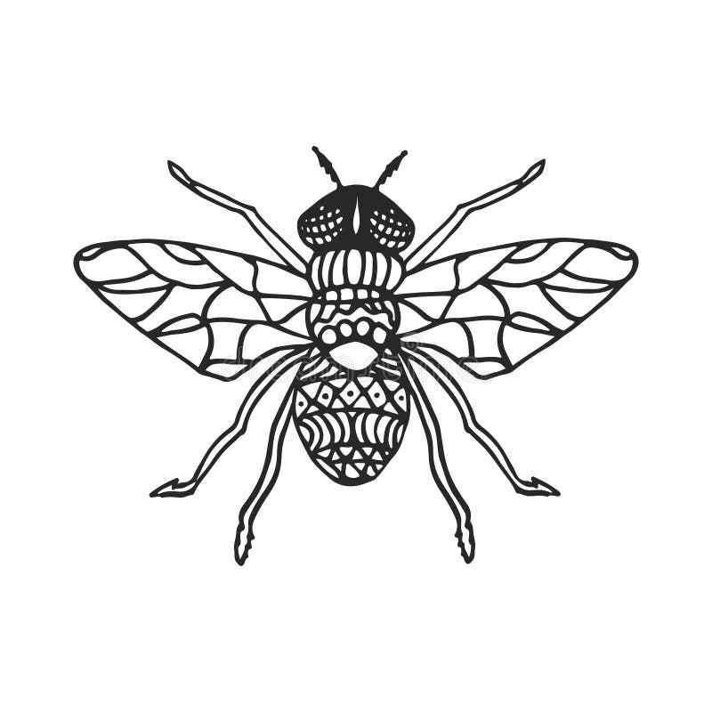 Fly Stencil Pattern Vector Illustration. Stock Vector - Illustration of ...