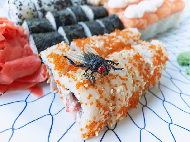 Insects Sushi Stock Photos - Free & Royalty-Free Stock Photos from ...