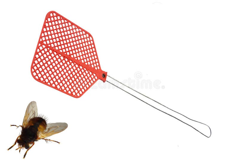 Flyswatter Fly Swat Insect Pest Swatter Stock Photo - Image of flies ...