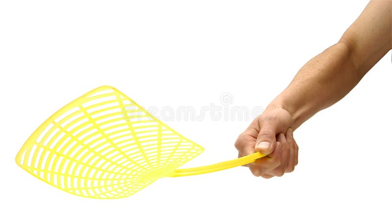 Fly Swat Swatter Flyswatter Stock Image - Image of pest, swing: 3774359