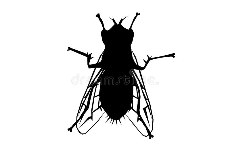 Fly Symbol Isolated on a White Background Stock Vector - Illustration ...