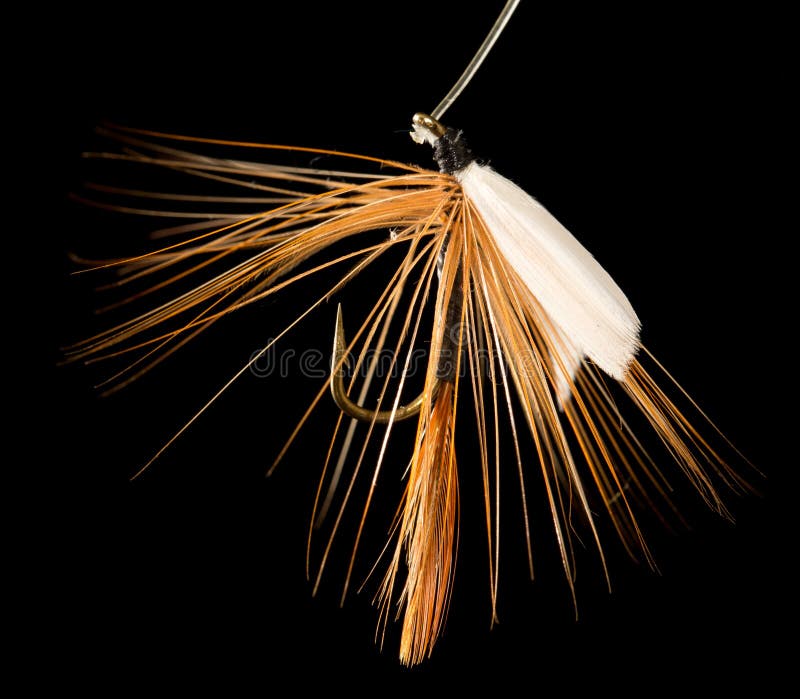 Fly To Catch Fish on a Black Background Stock Image - Image of black ...