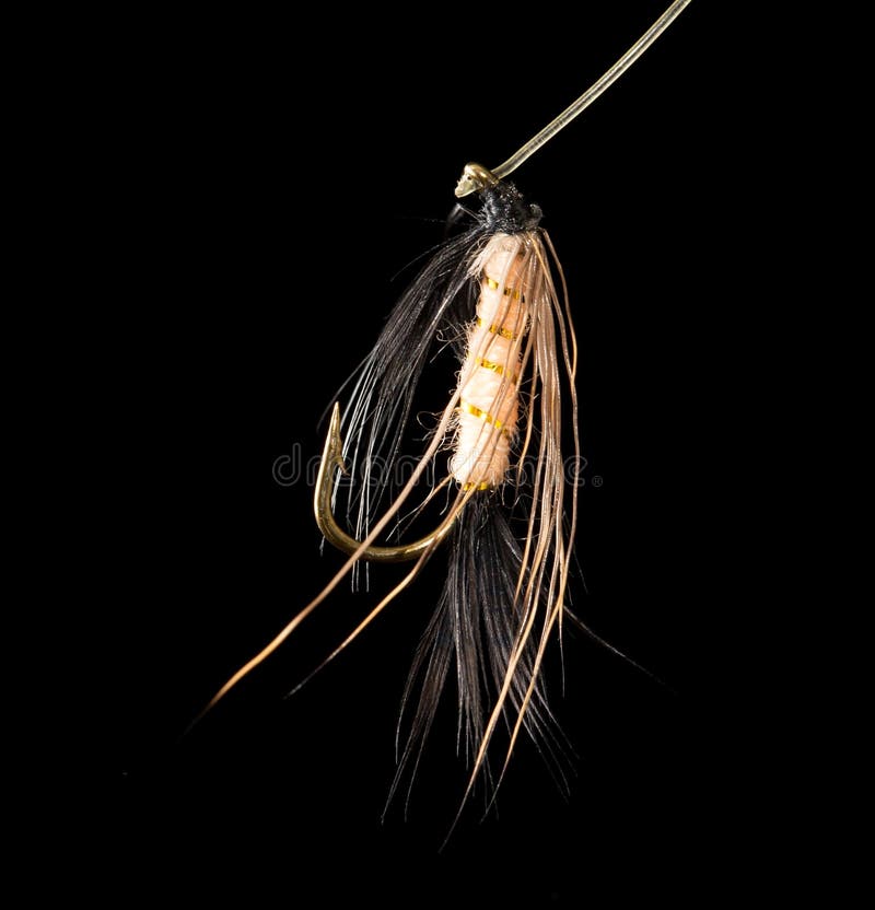 Fly To Catch Fish on a Black Background Stock Photo - Image of isolated ...
