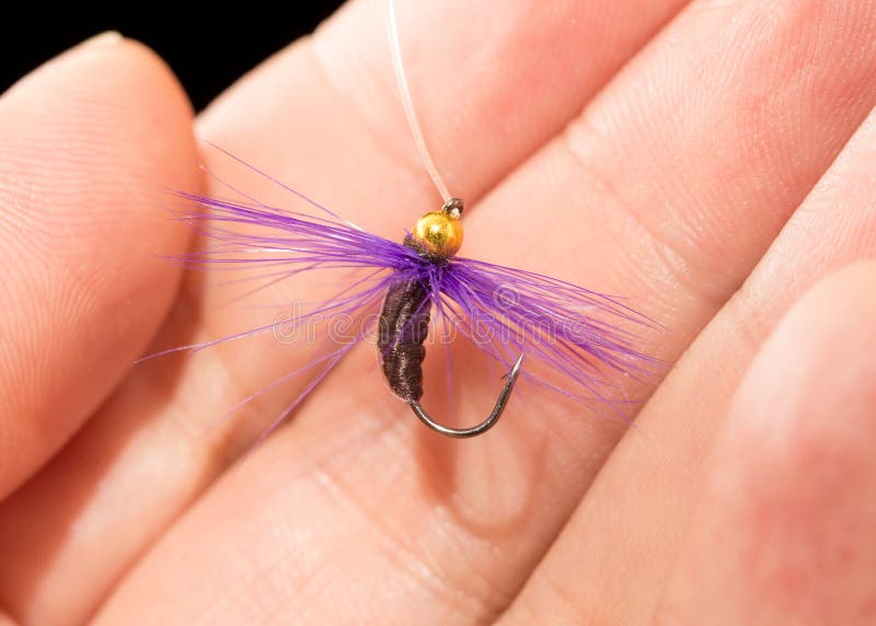 Fly To Catch Fish in a Hand on a Black Background Stock Image - Image ...