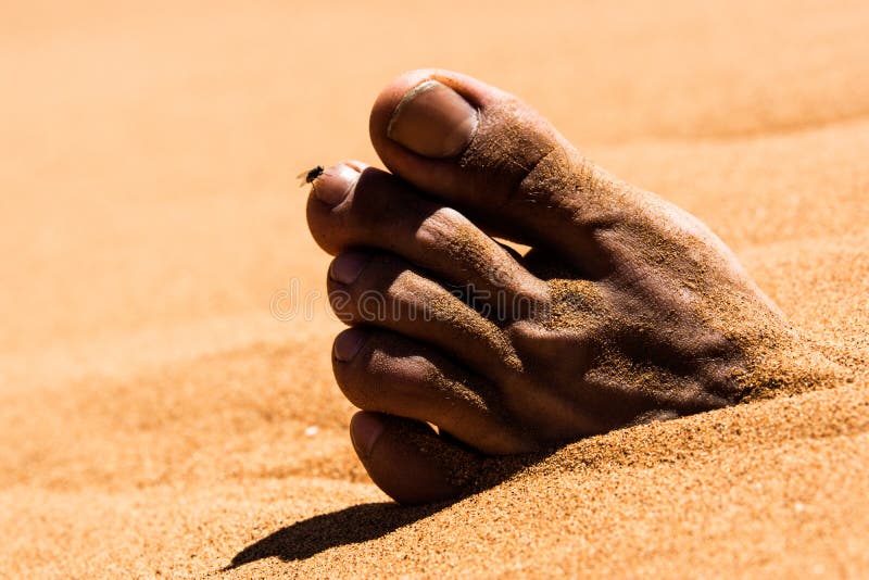 Taking the sun on a toe stock photo. Image of fresh - 189511860