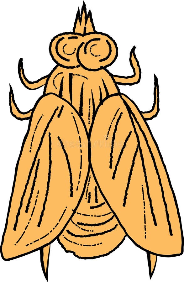 Diptera Stock Illustrations – 217 Diptera Stock Illustrations, Vectors ...