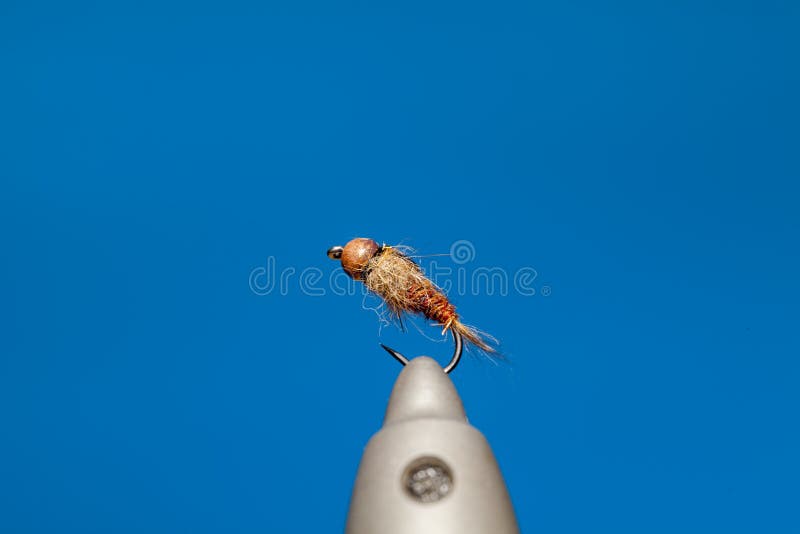 Fly tying hooks stock photo. Image of lures, flies, angling - 143372582