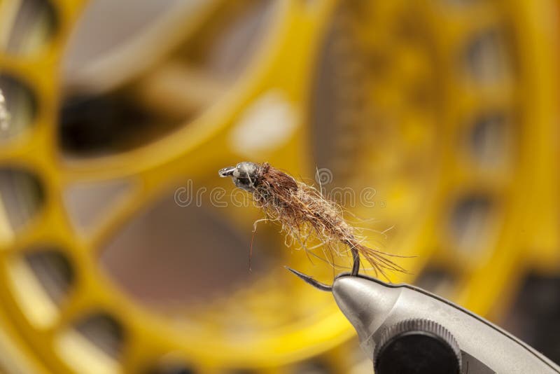 Fly tying hooks stock photo. Image of angler, bait, macro - 144860748