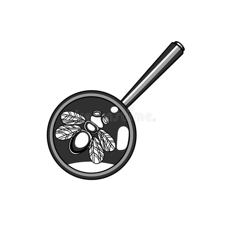 Fly Under a Magnifying Glass Stock Illustration - Illustration of ...
