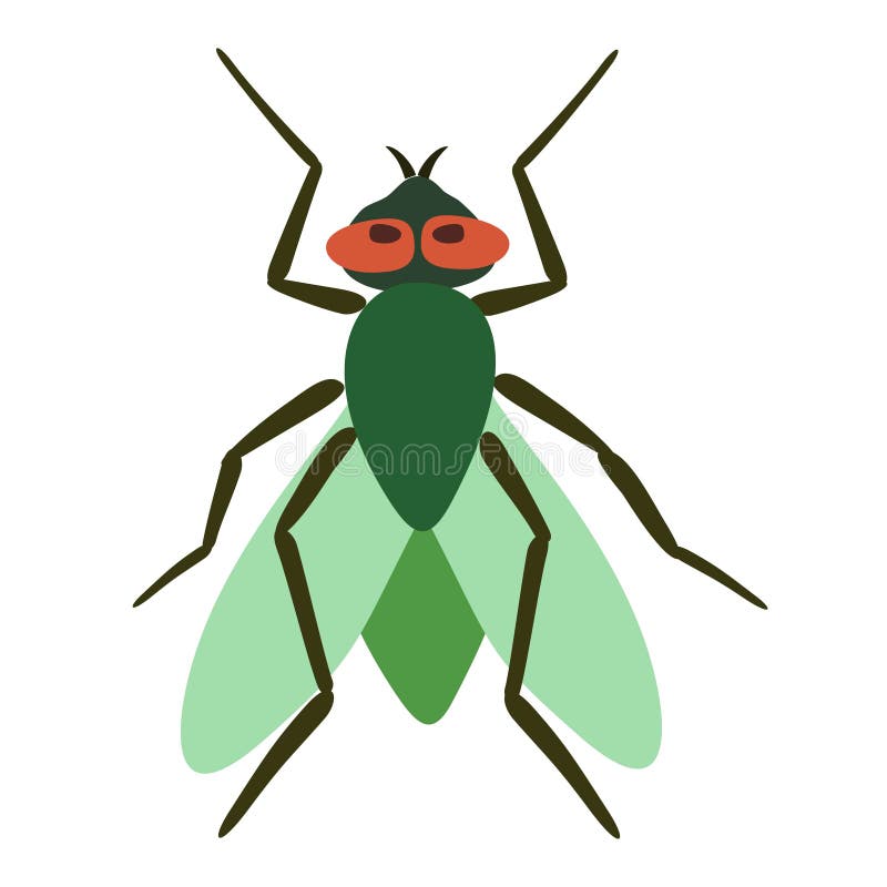 Fly Vector Illustration Isolated on White Background Stock Vector ...