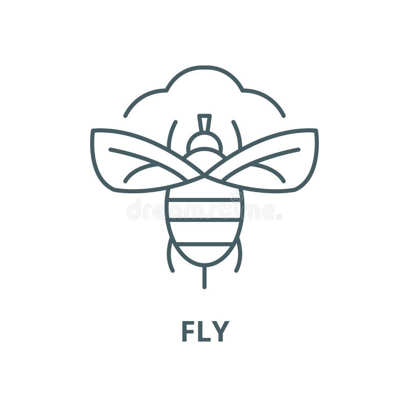 Fly Vector Line Icon, Linear Concept, Outline Sign, Symbol Stock Vector ...