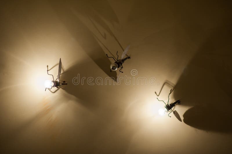 A Fly on the Wall, an Iron Fly, an Insect-shaped Lamp, a Firefly Stock ...