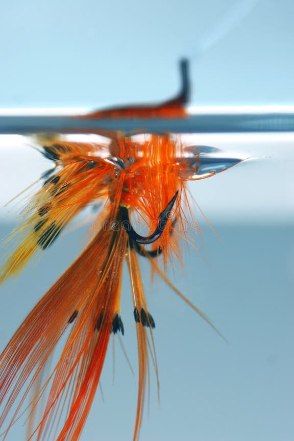 Fly in water stock photo. Image of bait, hand, cast, closeup - 175500