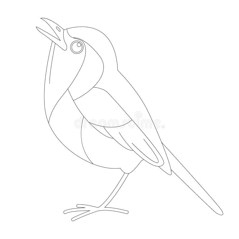 Flycatcher Bird, Vector Illustration, Lining Draw Stock Vector ...