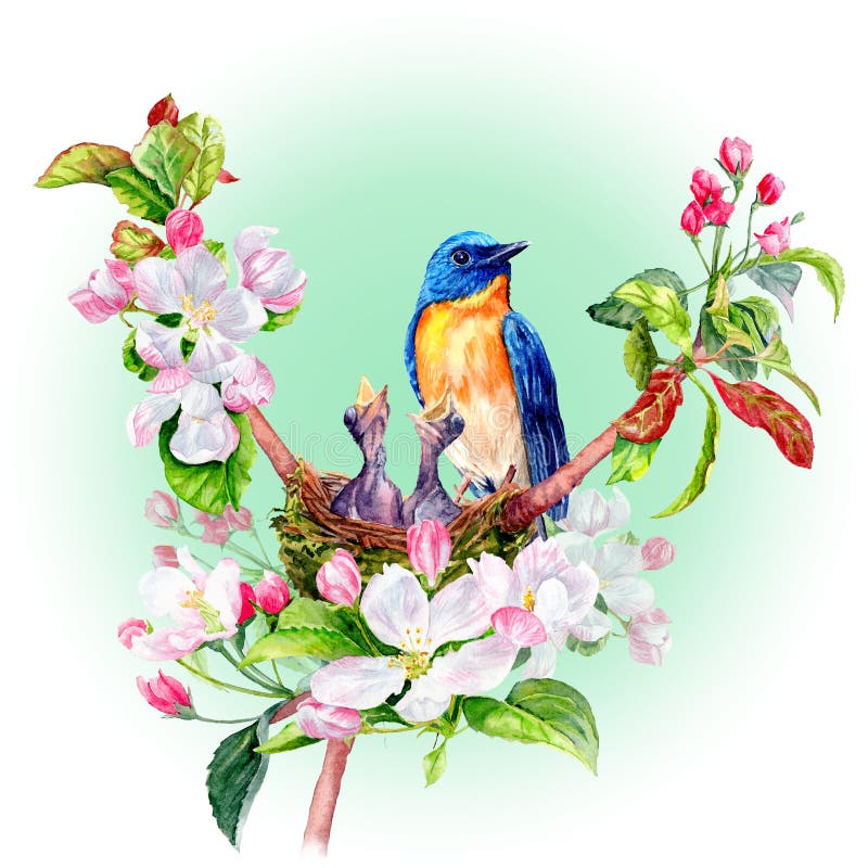 The Flycatcher in the Nest at the Springtime Stock Image - Illustration ... The Flycatcher in the Nest at the Springtime Stock Image - Illustration ...
