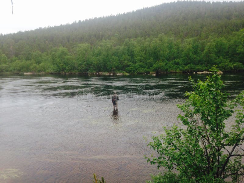Flyfishing stock image. Image of river, lapland, finish - 82726191