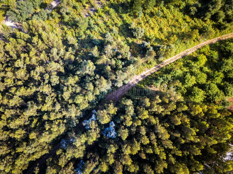 Flyg- Sikt Av En Skog I Spanien Arkivfoto - Bild av direkt, luft: 126874686