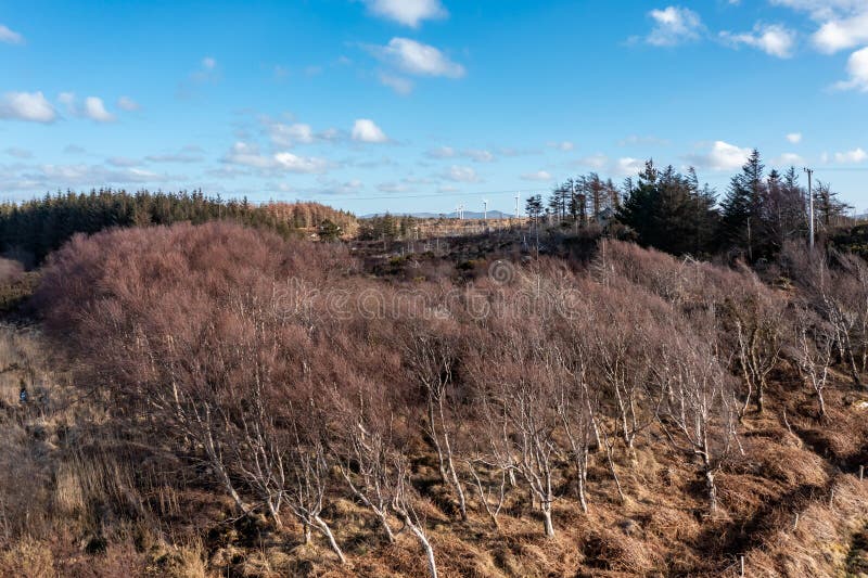 Flying Above Peat Bog in County Donegal - Ireland Stock Image - Image ...