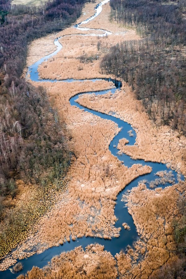 From Above, the Winding River Unveils the Rainforest S Hidden Wonders ...