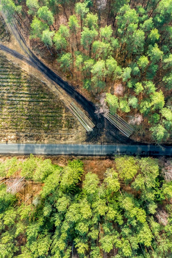 Flying Above Wonderful Multicolored Forest with Road Stock Image ...
