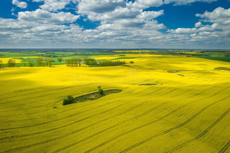 Flying Above Yellow Fields with Blue Sky Stock Image - Image of green ...