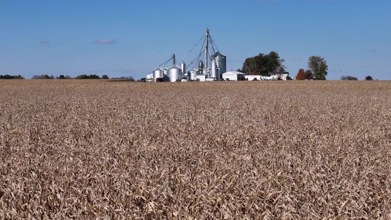 Flying Across a Corn Field Toward the Grain Elevators and Storage ...