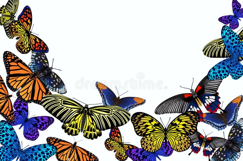 Beautiful Flying Butterflies on White Background Stock Illustration ...