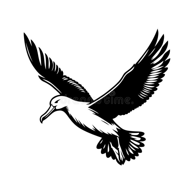 Flying Albatross Whole Vector Art Illustration Stock Vector ...