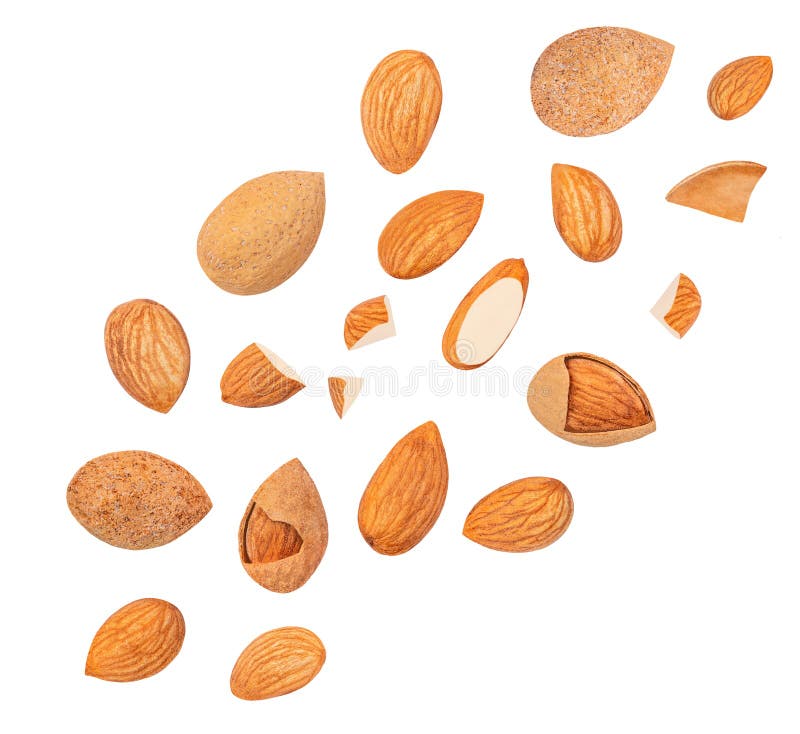 Flying Almond Isolated. Almonds on White Background. Almond Nut Set ...