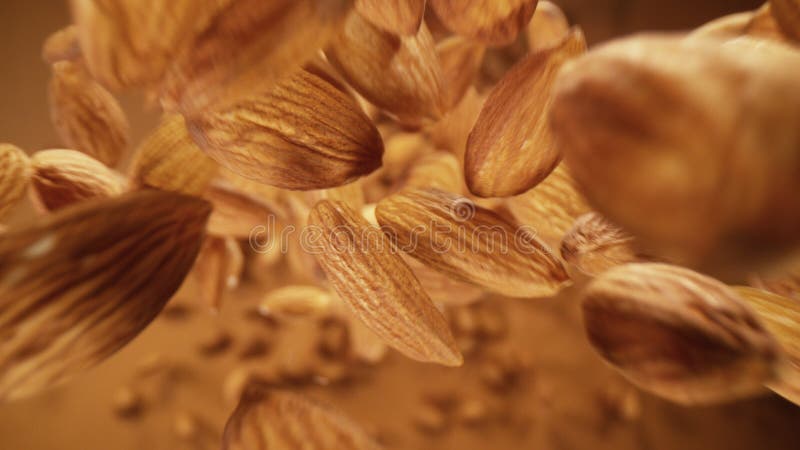 Flying Almonds Nuts in the Air Stock Image - Image of group, energy ...