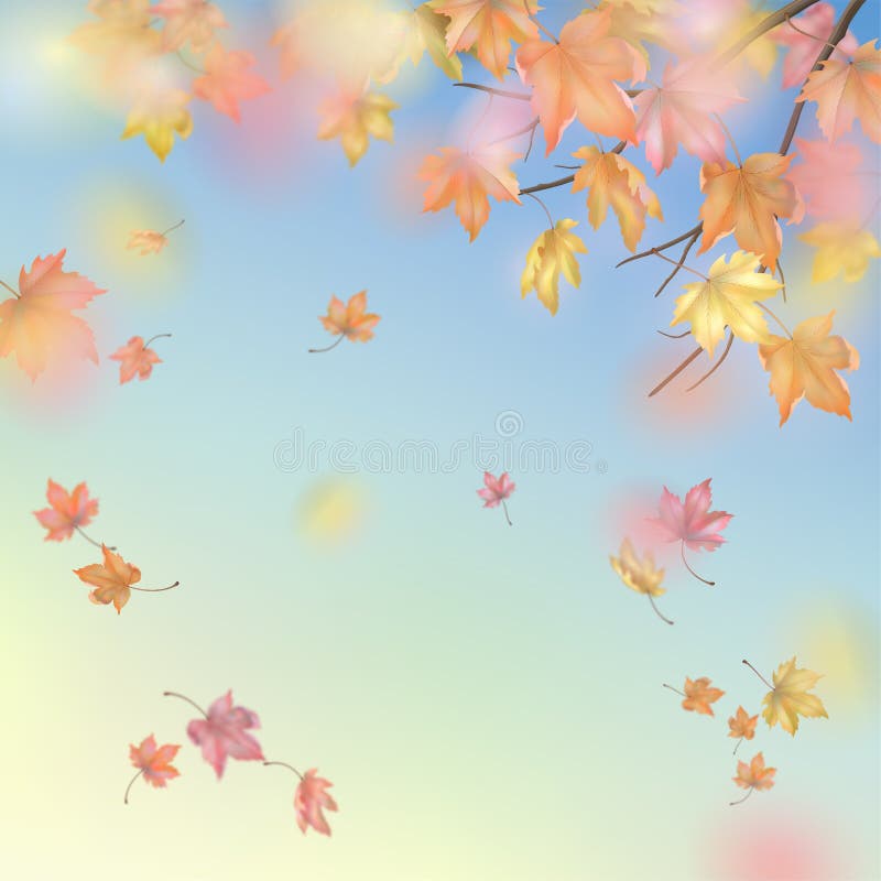 Flying Autumn Leaves stock vector. Illustration of tree - 126501854
