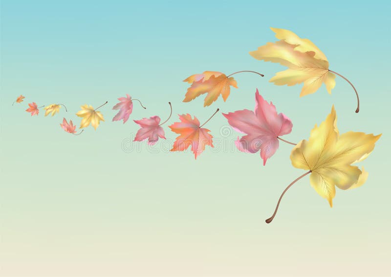 Flying Autumn Leaves stock vector. Illustration of season - 193186085
