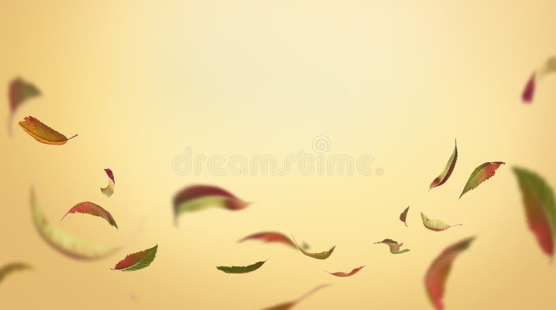 Flying Autumn Leaves at Sunny Yellow Background Stock Photo - Image of ...