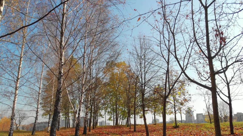 Flying Back with a Drone, Moving Away from the Ice Fishing Village with ...