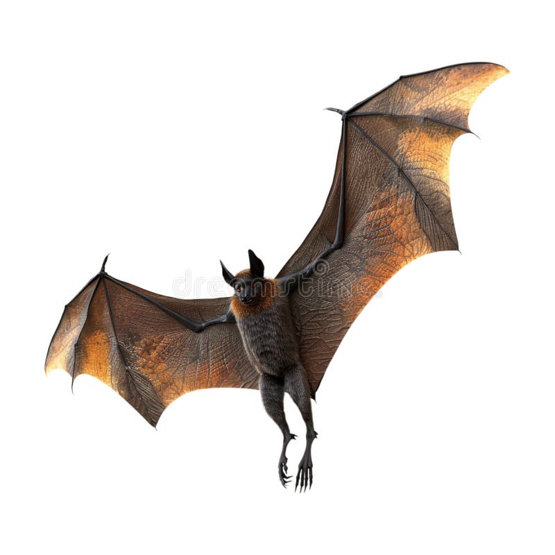 Flying Bat Halloween on Transparent Background - Ai Generated Stock ...