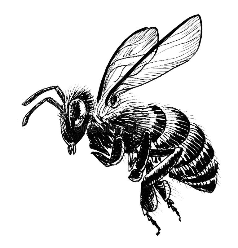Bee Ink Stock Illustrations – 3,057 Bee Ink Stock Illustrations ...