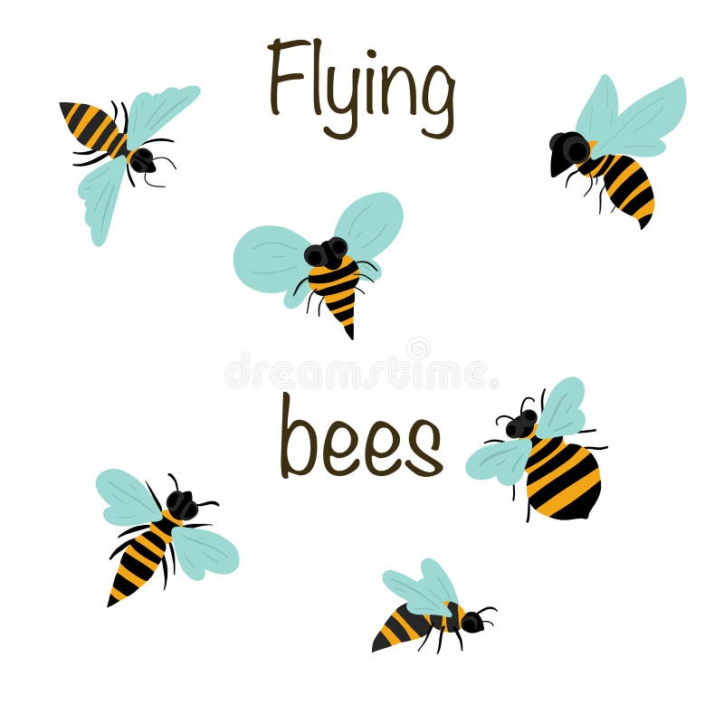 Flying Bees Set of Six Types of Bees Stock Vector - Illustration of ...