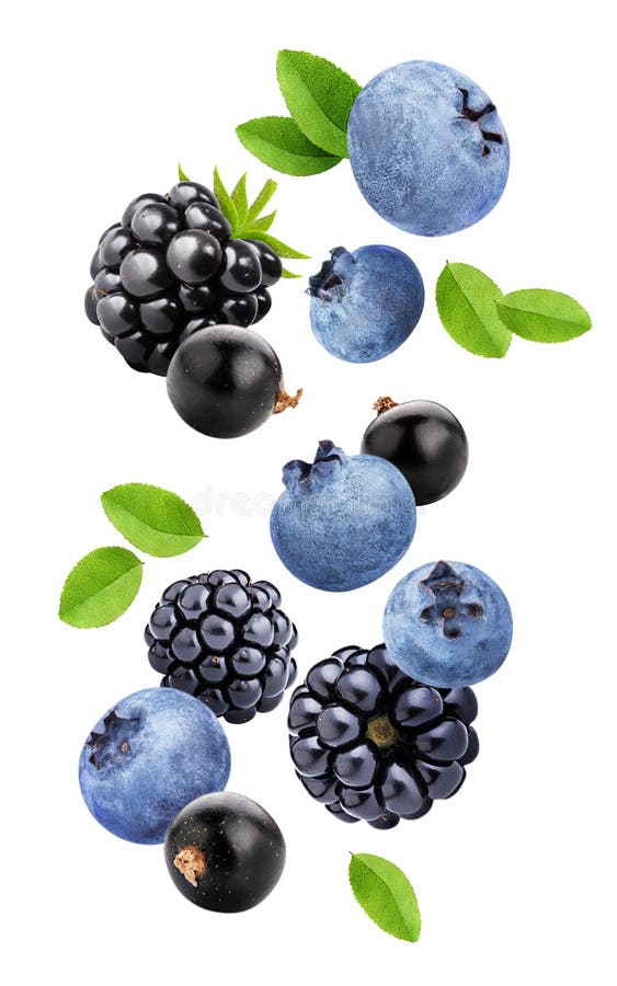 4,023 Flying Berries Stock Photos - Free & Royalty-Free Stock Photos ...