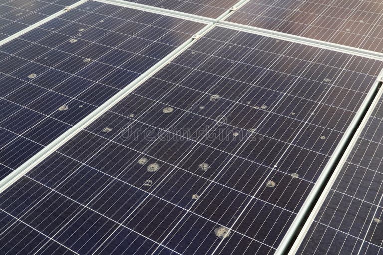 Poop Spreading Eating Stock Photos - Free & Royalty-Free Stock Photos ...