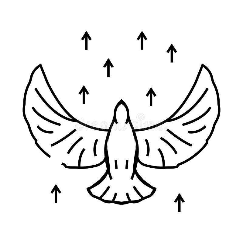 Flying Bird Progress Line Icon Vector Illustration Stock Vector ...