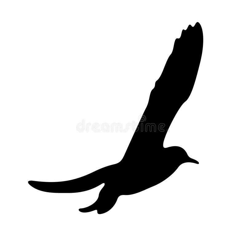 Flying Bird Motion Stock Illustrations – 3,552 Flying Bird Motion Stock ...