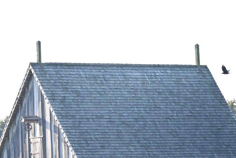 Flying Bird from the Roof of a Building Stock Image - Image of nest ...