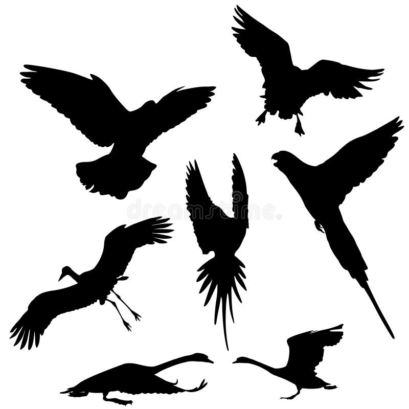Flying Bird Vector Silhouettes Stock Illustration - Illustration of ...